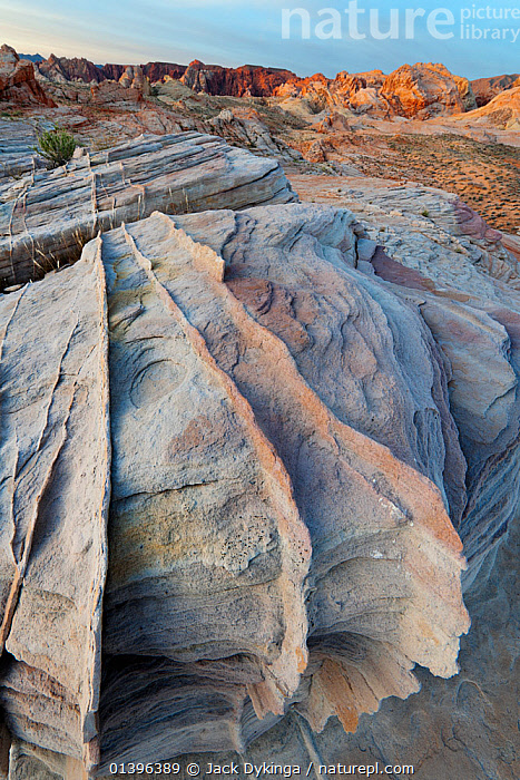 Stock photo of Eroded Aztec sandstone, dating back to the Jurassic, 160 ...