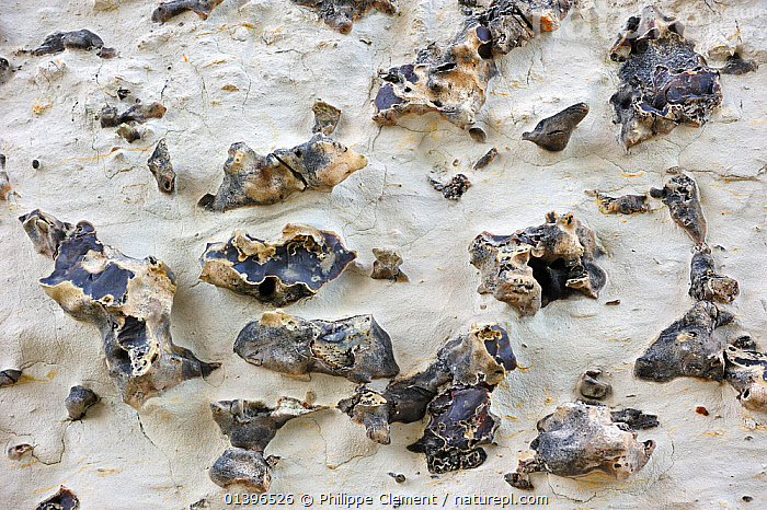 Stock photo of Close-up of flint embedded in a chalk cliff at Etretat ...