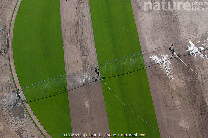 Stock photo of Aerial view of land used to produce turf for grass ...