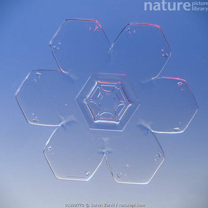 Stock photo of Snowflake magnified under microscope, Lilehammer, Norway ...