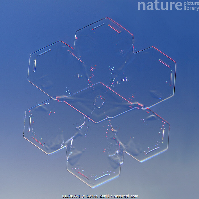 Stock photo of Snowflake magnified under microscope, Lilehammer, Norway ...