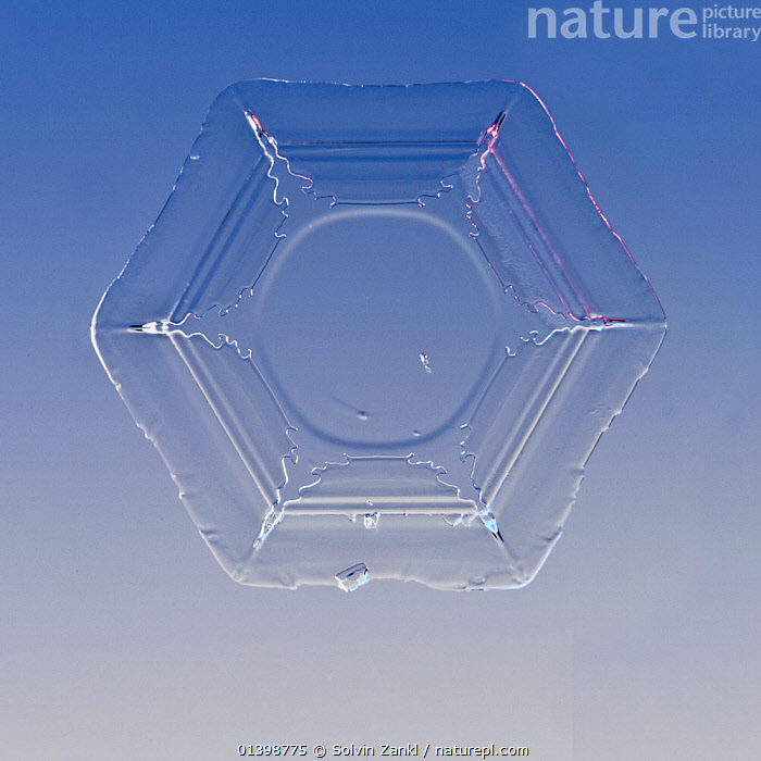 Stock photo of Snowflake magnified under microscope, Lilehammer, Norway ...