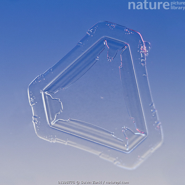 Stock photo of Snowflake magnified under microscope, Lilehammer, Norway ...