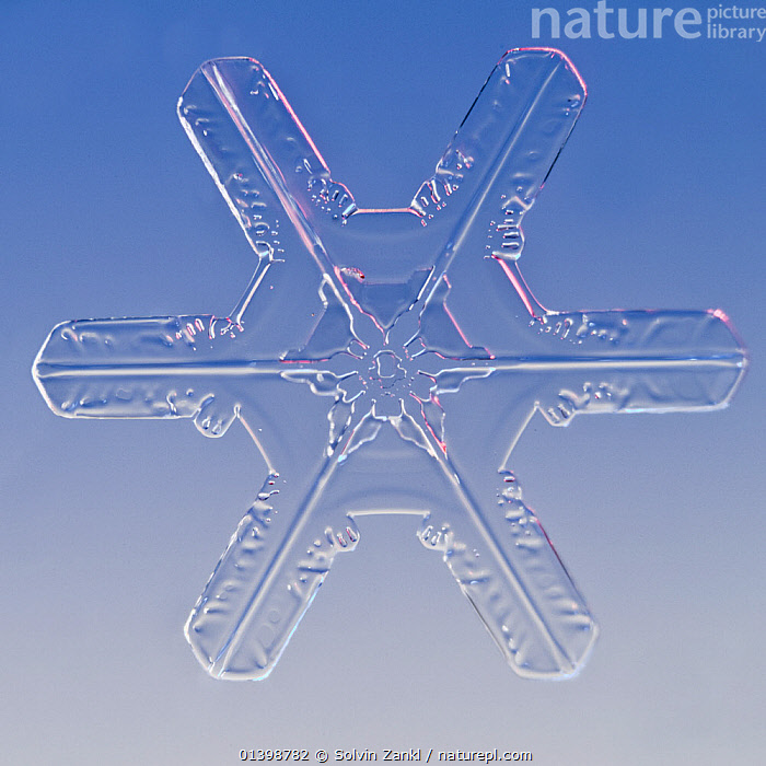 Stock photo of Snowflake magnified under microscope, Lilehammer, Norway ...