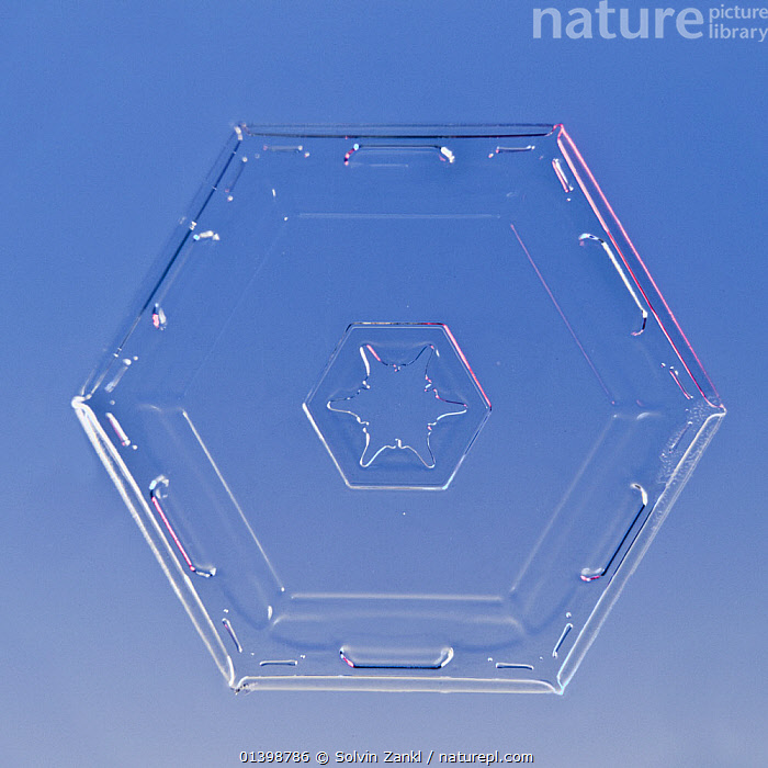 Stock photo of Snowflake magnified under microscope, Lilehammer, Norway ...