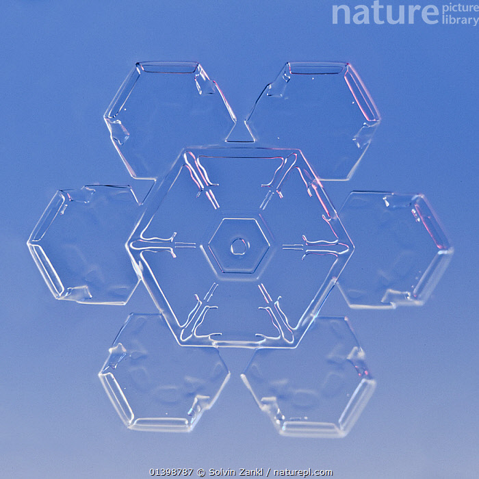 Stock photo of Snowflake magnified under microscope, Lilehammer, Norway ...