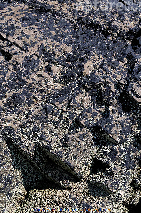 Stock photo of Limestone rocks high on the shoreline dappled with ...