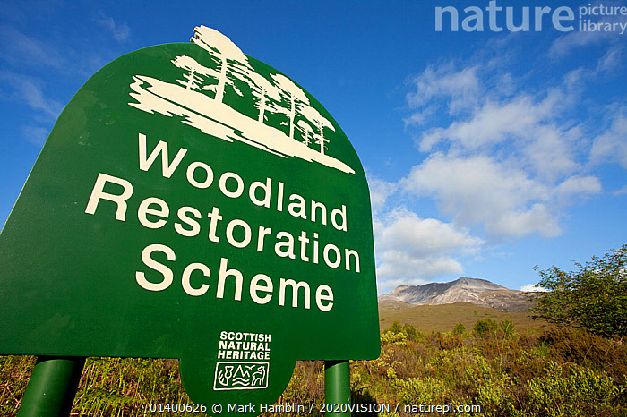 Stock photo of Woodland restoration scheme, sign and view of habitat ...
