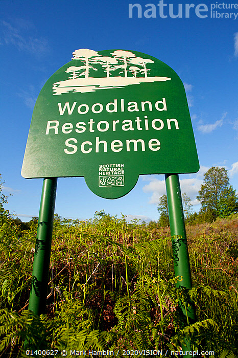 Stock photo of Woodland restoration scheme, sign, Beinn Eighe National ...