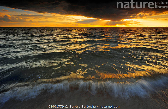 Stock photo of Muritz Lake, Muritz National Park at sunset, Germany ...