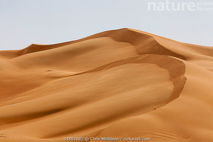Arabian Sand Dunes