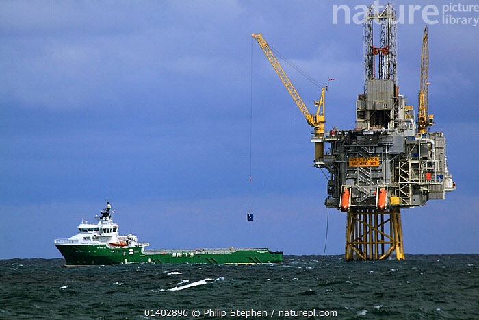 Stock photo of Supply vessel offloading containers at the 'Oseberg Ost ...