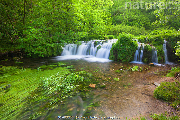 Stock photo of The River Lathkill, Lathkill Dale National Nature ...