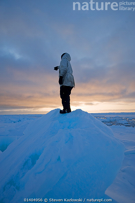 Stock photo of Inupiaq subsistence whaler stands on jumbled ice at the ...