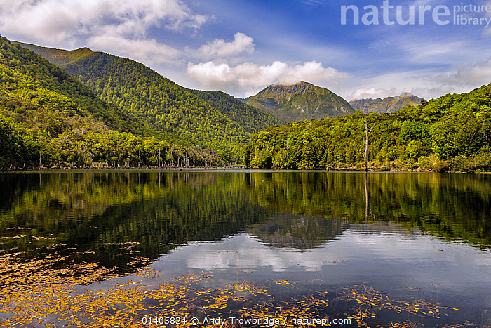Stock photo of Lake Elmer, Domett Range at the head of the Ugly River ...