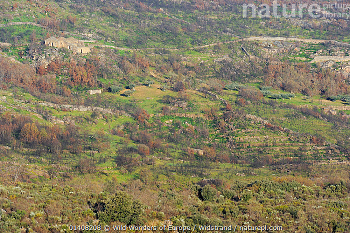 Stock photo of Aerial view of land abandonment, in the Faia Brava ...