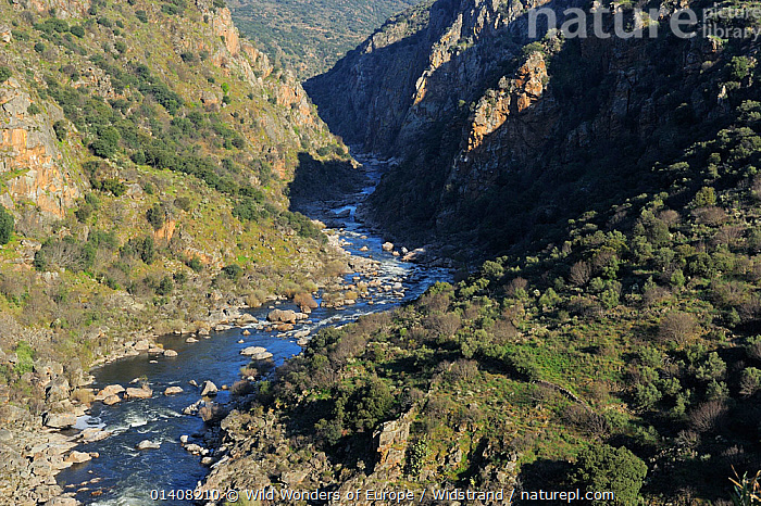 Stock photo of Aerial view of land abandonment in the Faia Brava ...