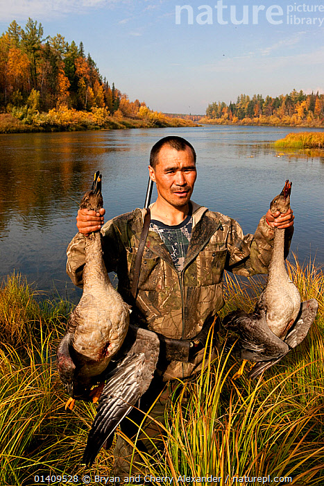 Stock photo of Vassily Korgachev, a Selkup hunter, holds up two geese ...