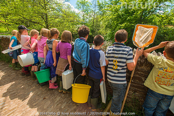 Stock photo of School children with equipment to do kick sampling ...