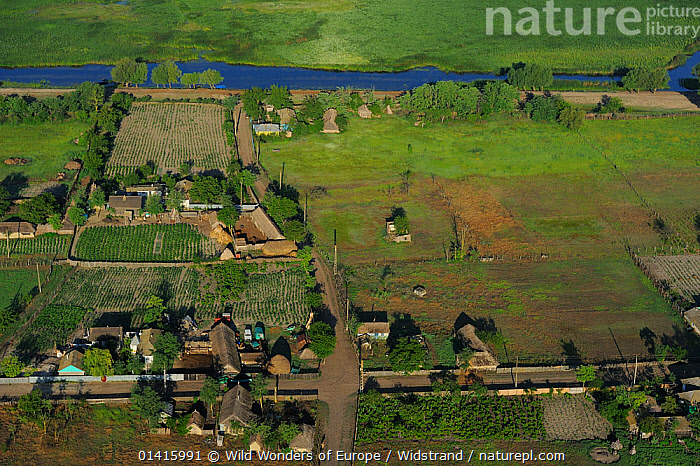Stock photo of Aerial view of Letea village, within the Danube delta ...