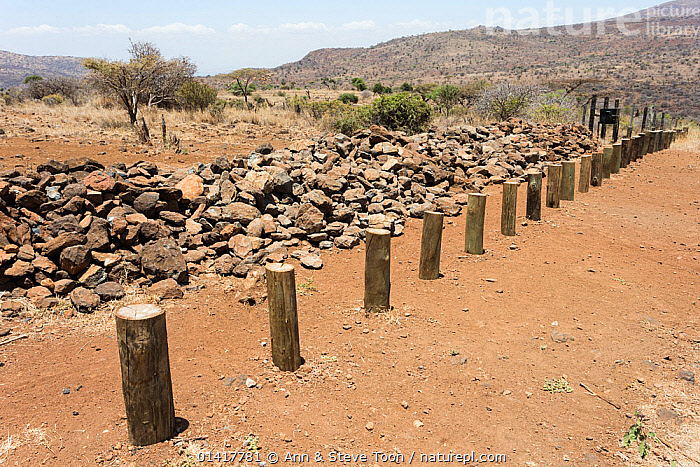 Stock photo of Gap in boundary fence to allow elephant migration but ...