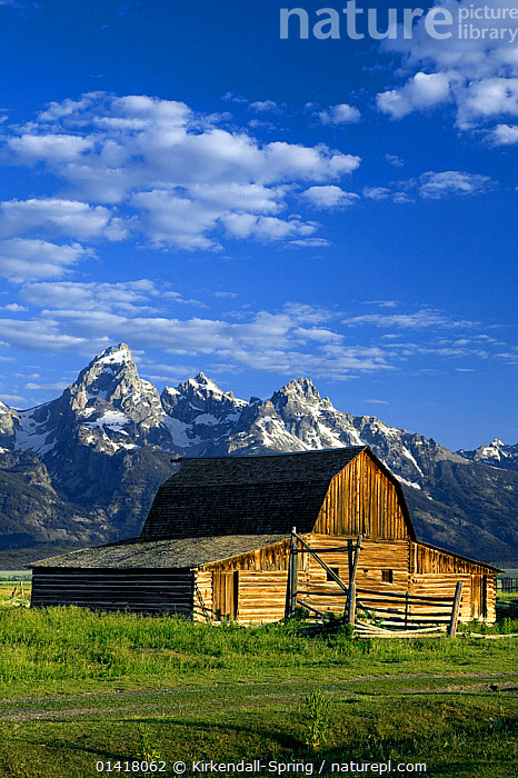 Stock photo of Old farm building along the Mormon Road in Grand Teton ...