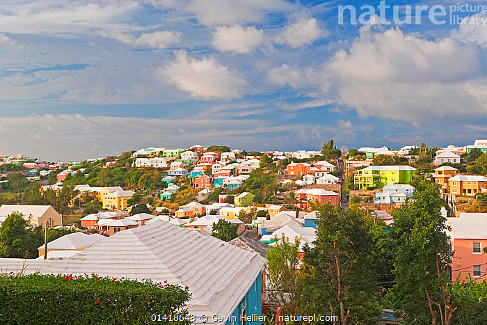Stock photo of Traditional Bermuda houses with their white stone roofs ...