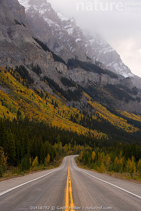 Stock photo of The Icefields Parkway, route between Banff and Jasper in ... Stock photo of The Icefields Parkway, route between Banff and Jasper in ...