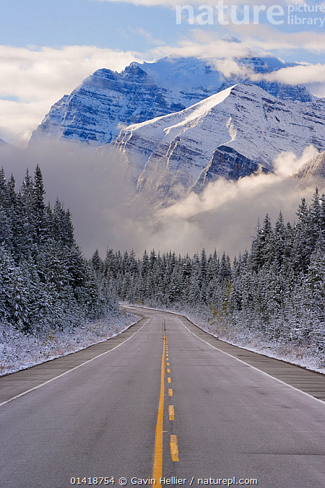 Stock photo of The Icefields Parkway, route between Banff and Jasper in ...