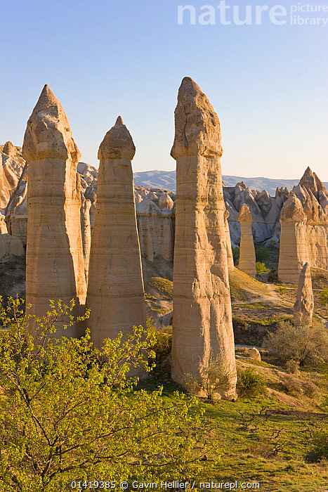 Stock photo of Phallic pillars known as Fairy Chimneys in the valley ...
