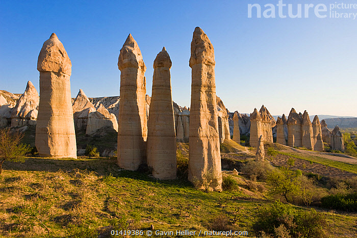 Stock photo of Phallic pillars known as Fairy Chimneys in the valley ...
