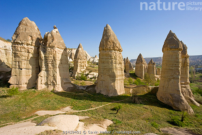 Stock photo of Phallic pillars known as Fairy Chimneys in the valley ...