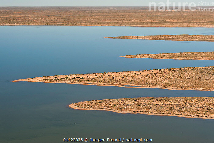 Stock photo of Aerial of lakes in Simpson Desert Regional Reserve ...