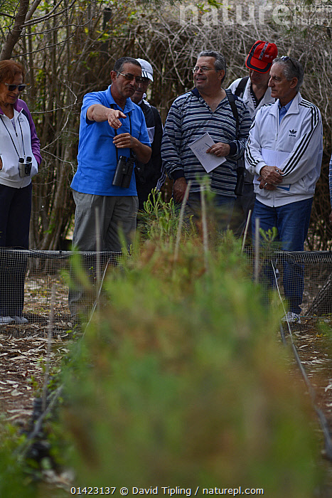 Stock photo of Maltese BirdLife members taking a tour of native tree ...
