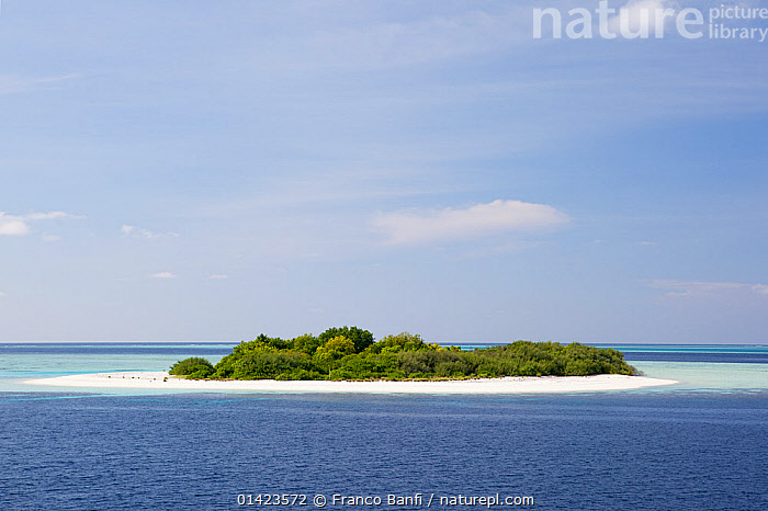 Stock photo of Small deserted island with white sandy beach, Maldives ...