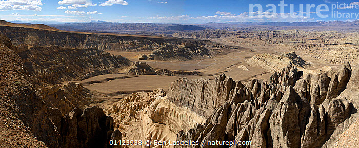 Stock photo of View over the Zhada Earth Forest National Geopark, near ...