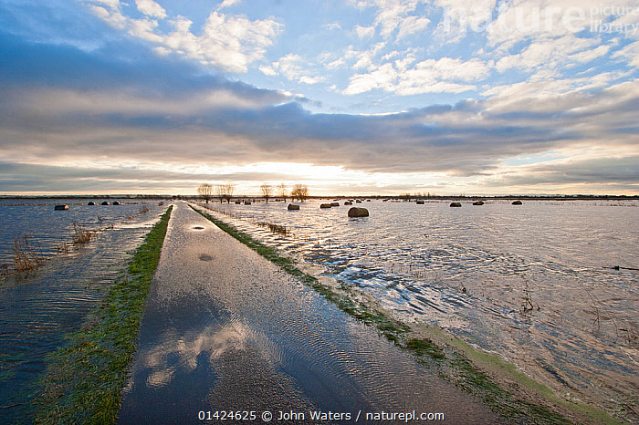 Stock photo of Flooded pasture, ditches and road after heavy rains, on ...