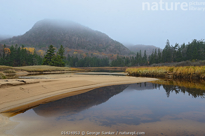 Stock photo of Sandy beach on misty day, Acadia National Park, Maine ...
