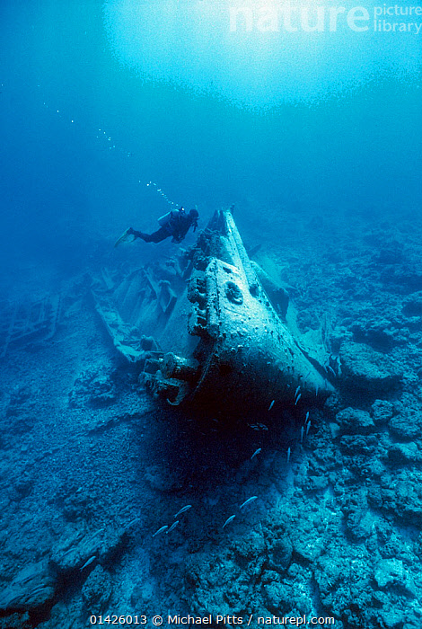 Stock photo of Diver on the wreck of the US Submarine tender USS Macaw ...