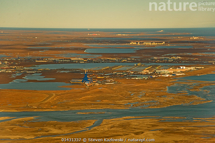 Stock photo of Aerial landscape view of Prudhoe Bay oil fields, central ...