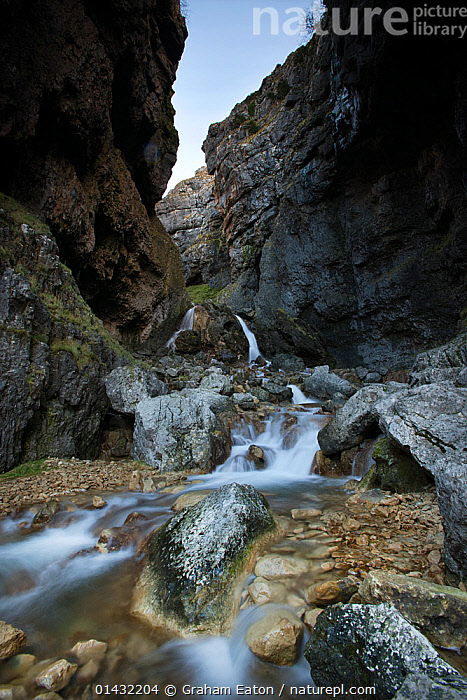 Stock photo of Goredale Scar - a gorge cut through Carboniferous ...