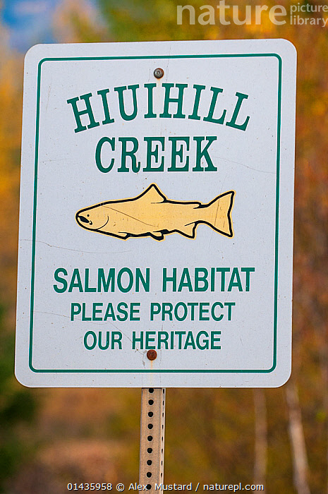 Stock photo of A sign to help protect a spawning river for salmon ...