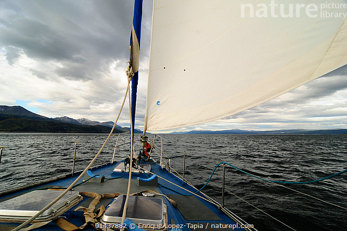 Stock photo of View from aboard boat navigating the Beagle Channel ...