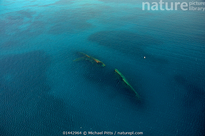 Stock photo of Wreck of the MS Antilla, aerial shot. Ship scuttled 10th ...