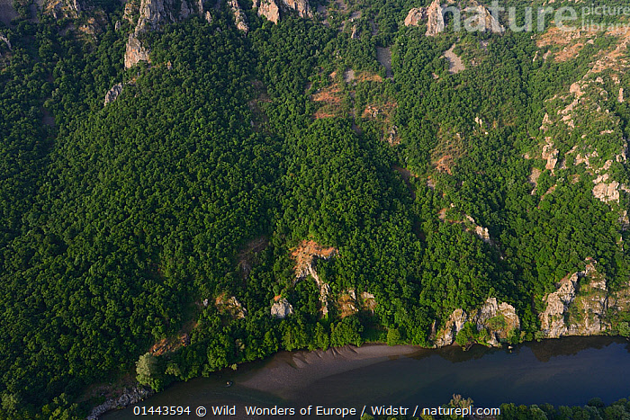 Stock photo of Aerial view over the Arda river canyon, Madzharovo ...
