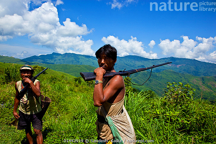 Stock photo of Two Naga men hunting with rifles, Arunachal Pradesh ...