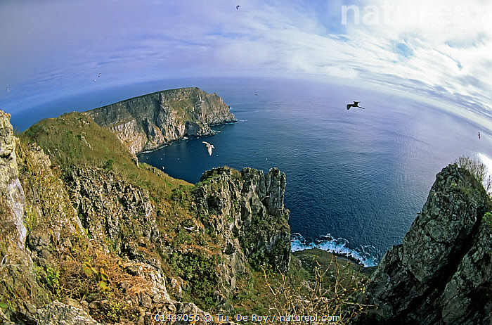Stock photo of Wenman Island (Wolf Island) fish eye view from summit of ...
