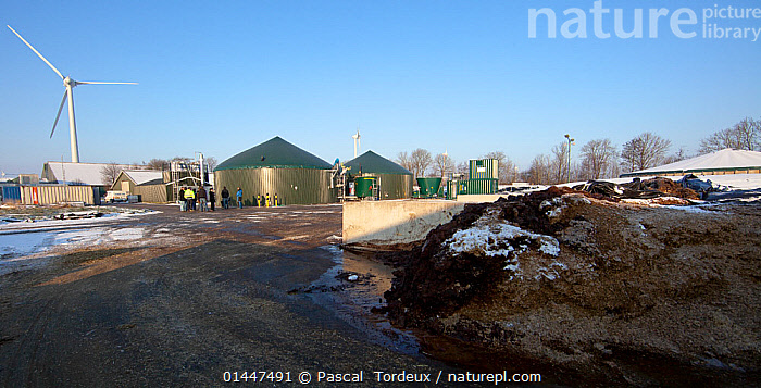 Stock photo of A pile of digestate, a waste product in the biogas ...