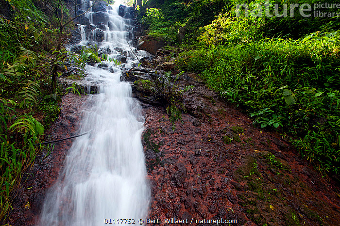 Stock photo of Seasonal waterfall during the monsoon. Koyna, India ...