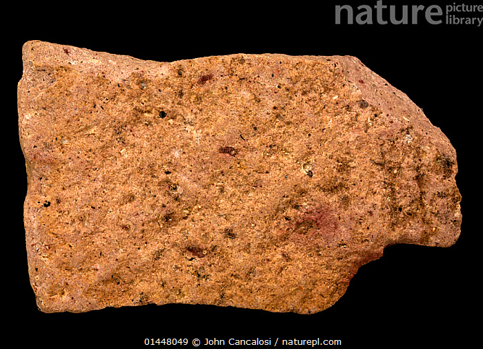 Stock photo of Rhyolite, an igneous, volcanic rock, of felsic (silica ...